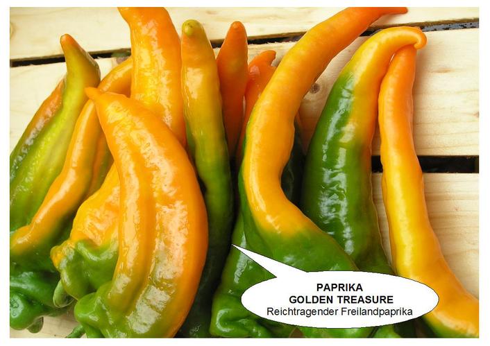 Paprika | bio scharler